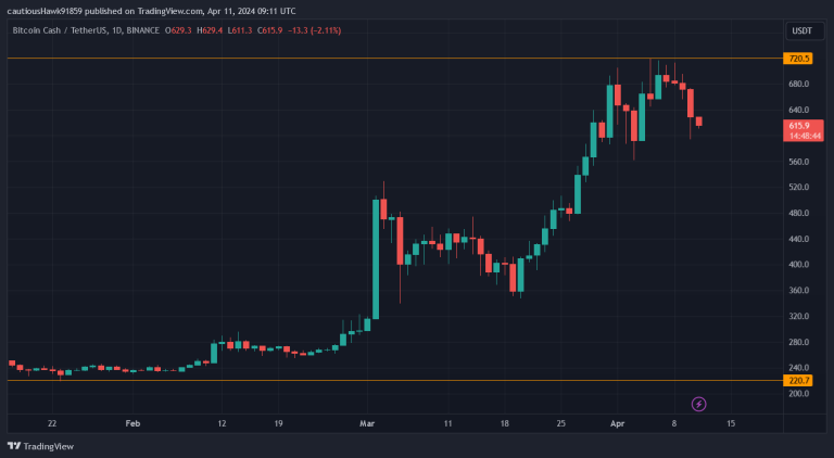 Halving du Bitcoin Cash (BCH) : une semaine plus tard, où en est la cryptomonnaie